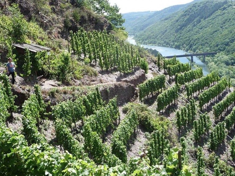 Calmont Klettersteig: Wandern de luxe | mosel-zweinull.de