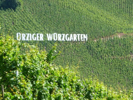Ürzig: Die letzten 11 Geheimnisse von Ürzig